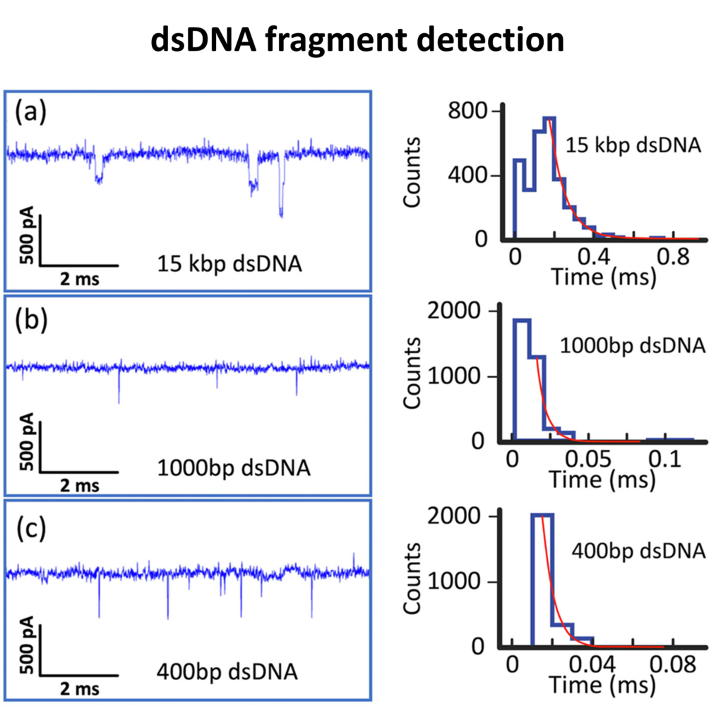 Nanopore Reader 100 KHz - Elements